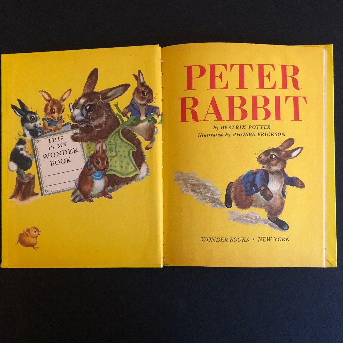 VINTAGE 40s Peter Rabbit Childrens Book - Etsy