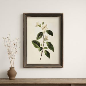 Vintage Botanical Wall Art, Feminine Wall Art, Cottage Core Decor ...