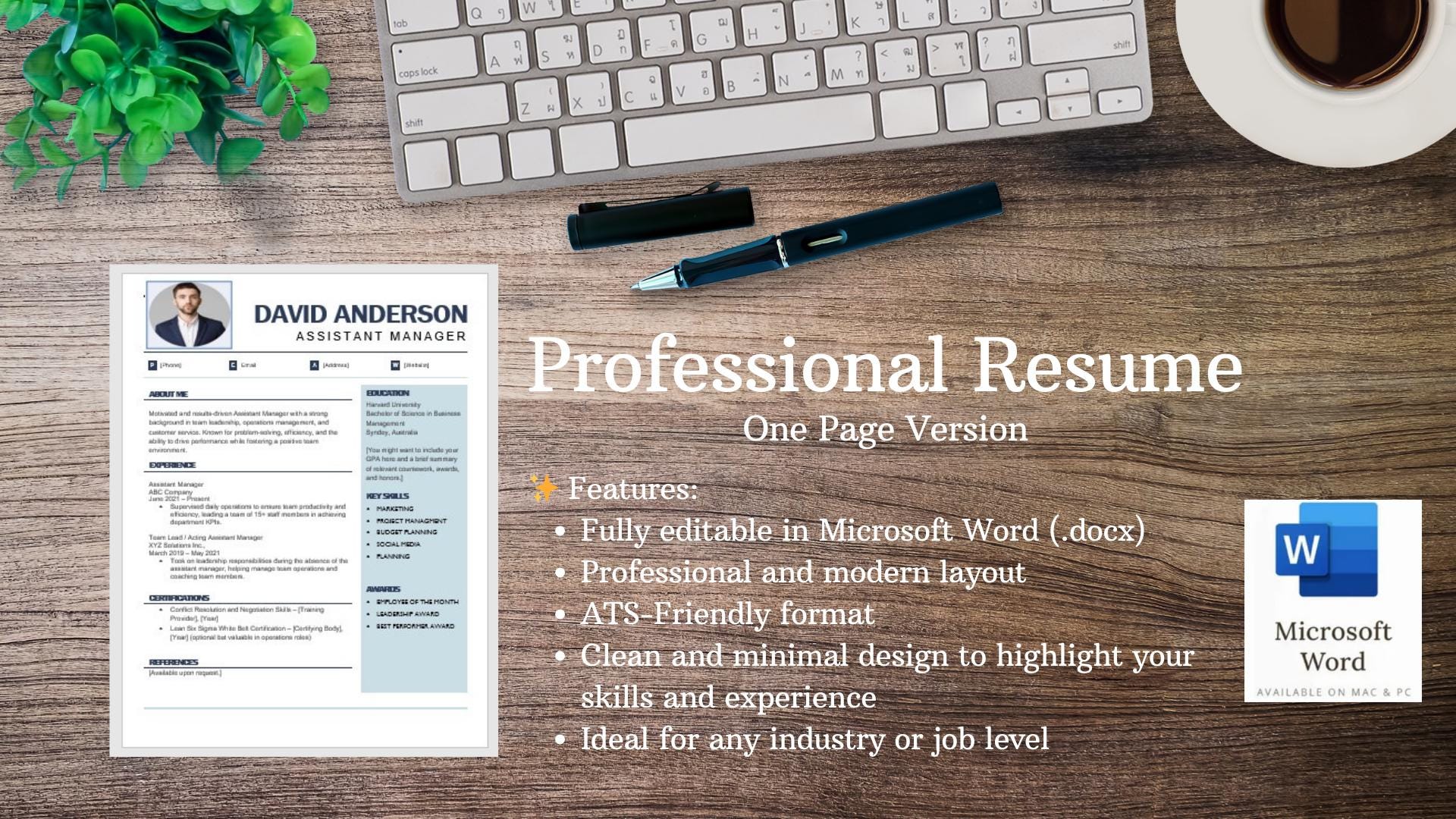 Professional Resume Template | Modern Minimalist CV Template | One Page ...