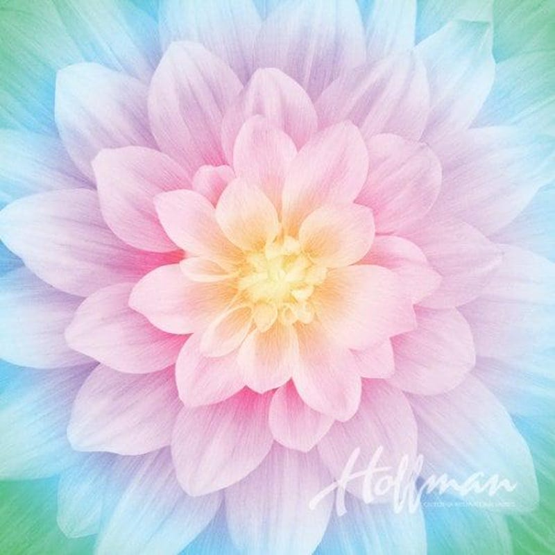 Flower Tool Fabric - Etsy