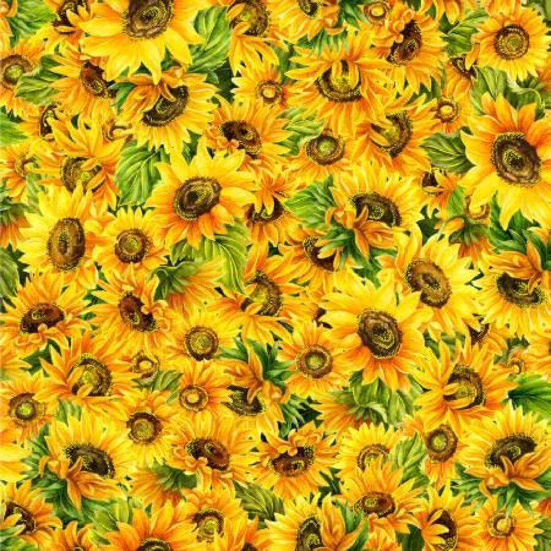 Sunflower Cotton Fabric: Golden Harvest Oasis Collection (half Yard) - Etsy