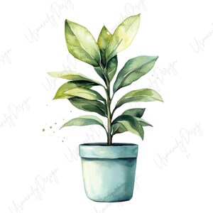 23 Watercolor Houseplant Clipart, Potted Plant PNG, Indoor Greenery ...