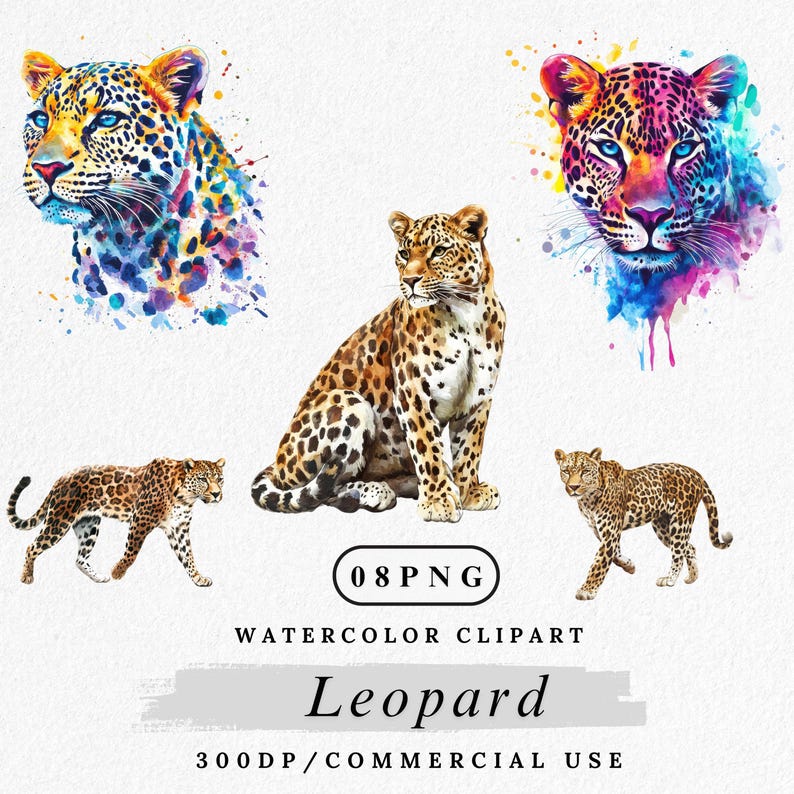 Leopard Clipart, Watercolor Jungle Cat PNG, Wild Animal, Safari Leopard ...