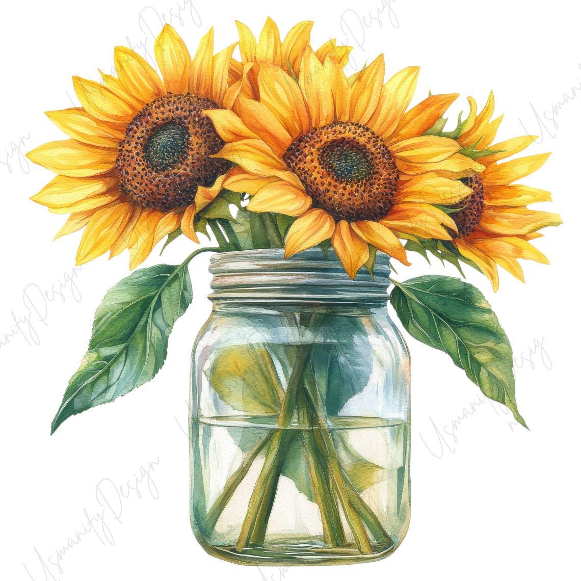 21 Watercolor Sunflower Mason Jar Clipart PNG, Yellow Floral Bouquet ...