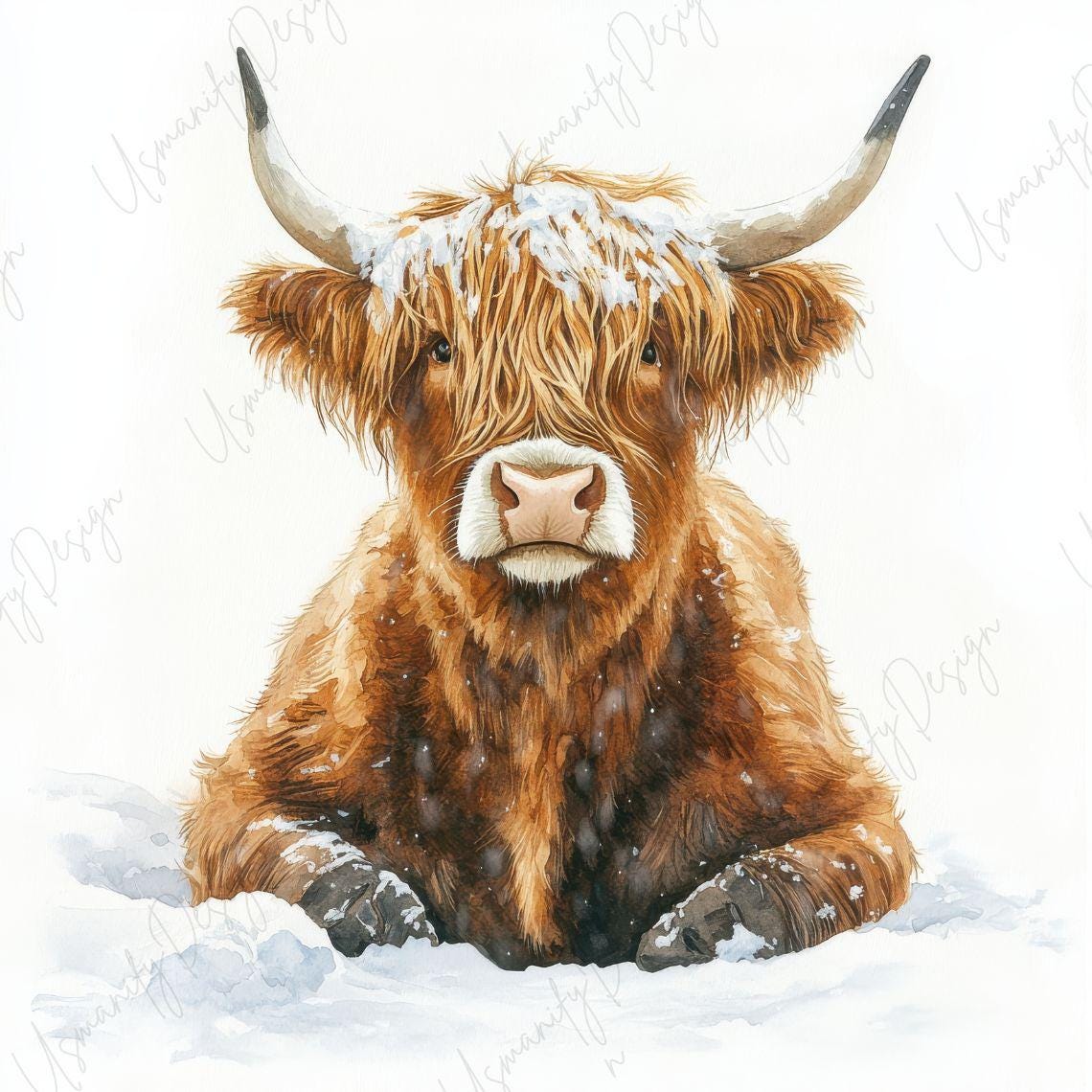 14 Highland Cow in Snow Clipart, Watercolor Winter Bull, Junk Journal ...