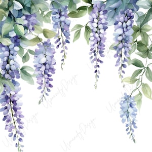 22 Watercolor Wisteria Clipart, Purple Floral PNG Bundle, Hanging ...