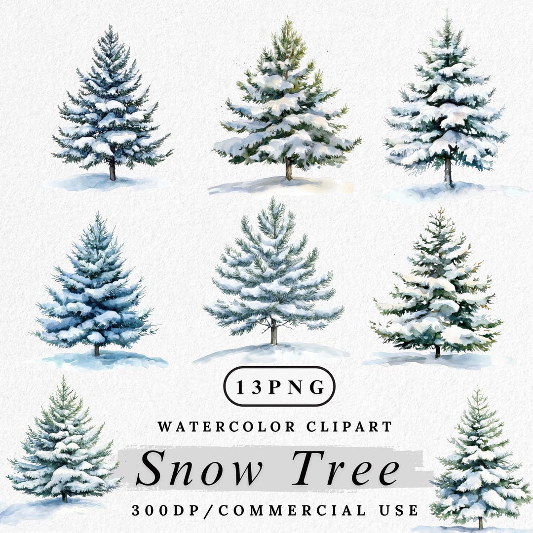 Watercolor Pine Tree Clipart: Winter Forest PNG (digital Download, 13 ...