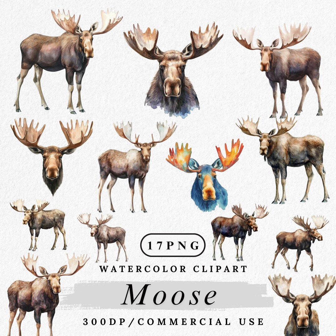 Moose Clipart, Watercolor Moose PNG, Woodland Animal Clip Art, Forest ...