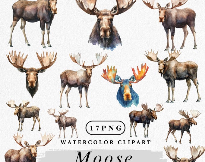 Moose Clipart Watercolor Clipart Watercolor Woodland Watercolor Animals ...