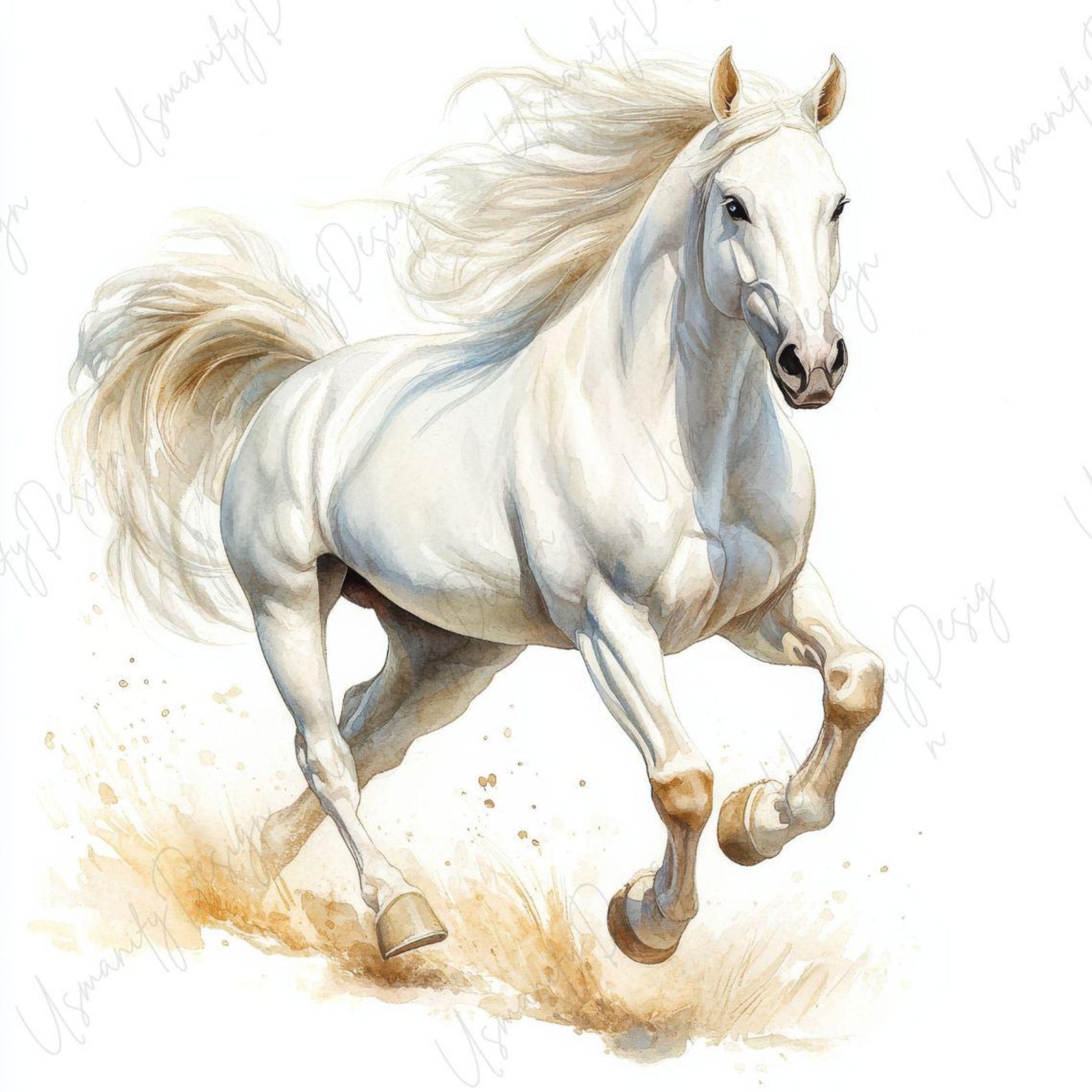17 Watercolor White Horse Clipart, White Horse JPG, Equine Illustration ...