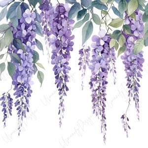 22 Watercolor Wisteria Clipart, Purple Floral PNG Bundle, Hanging ...