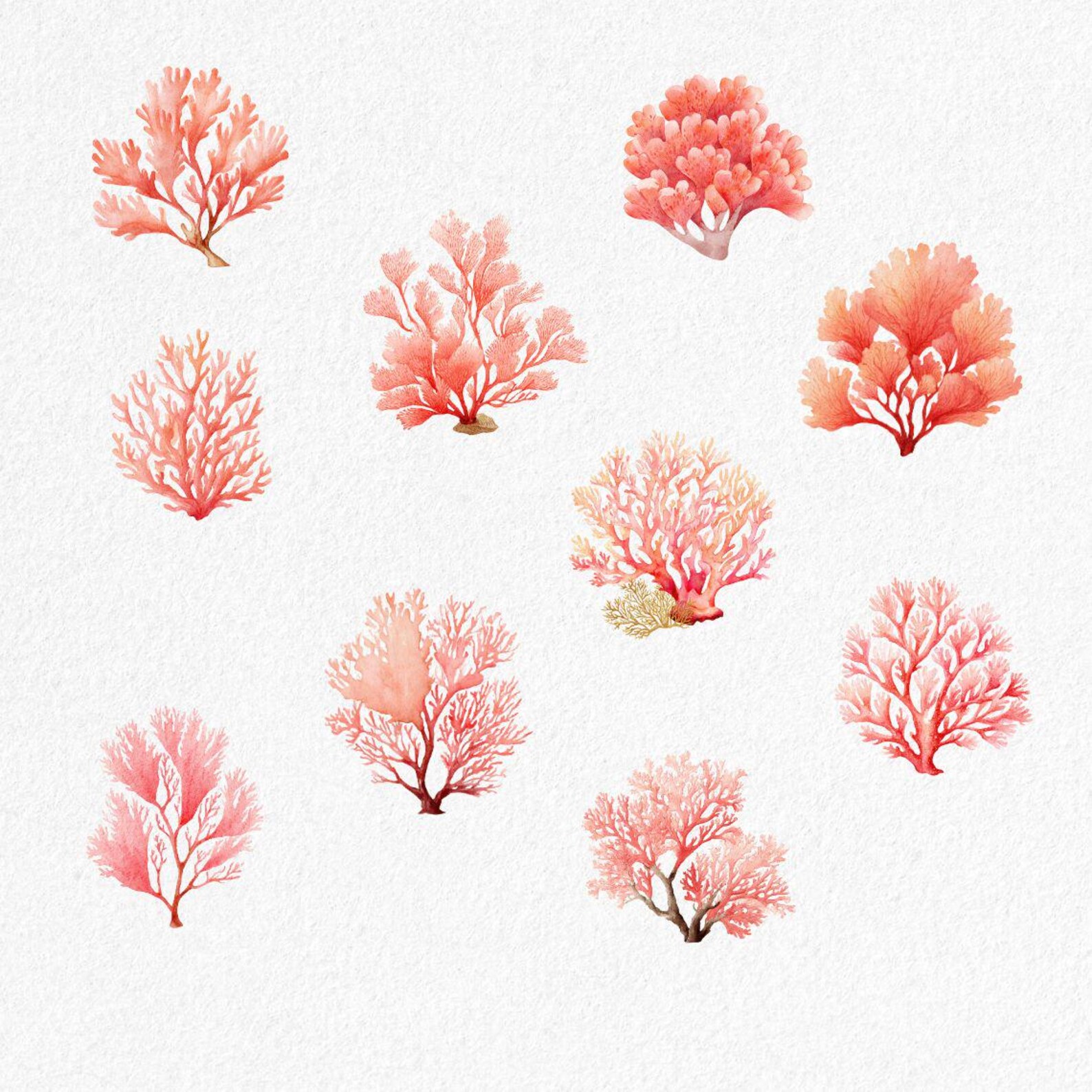 Watercolor Coral Clipart: Ocean Reef PNG Set (digital Download - Etsy