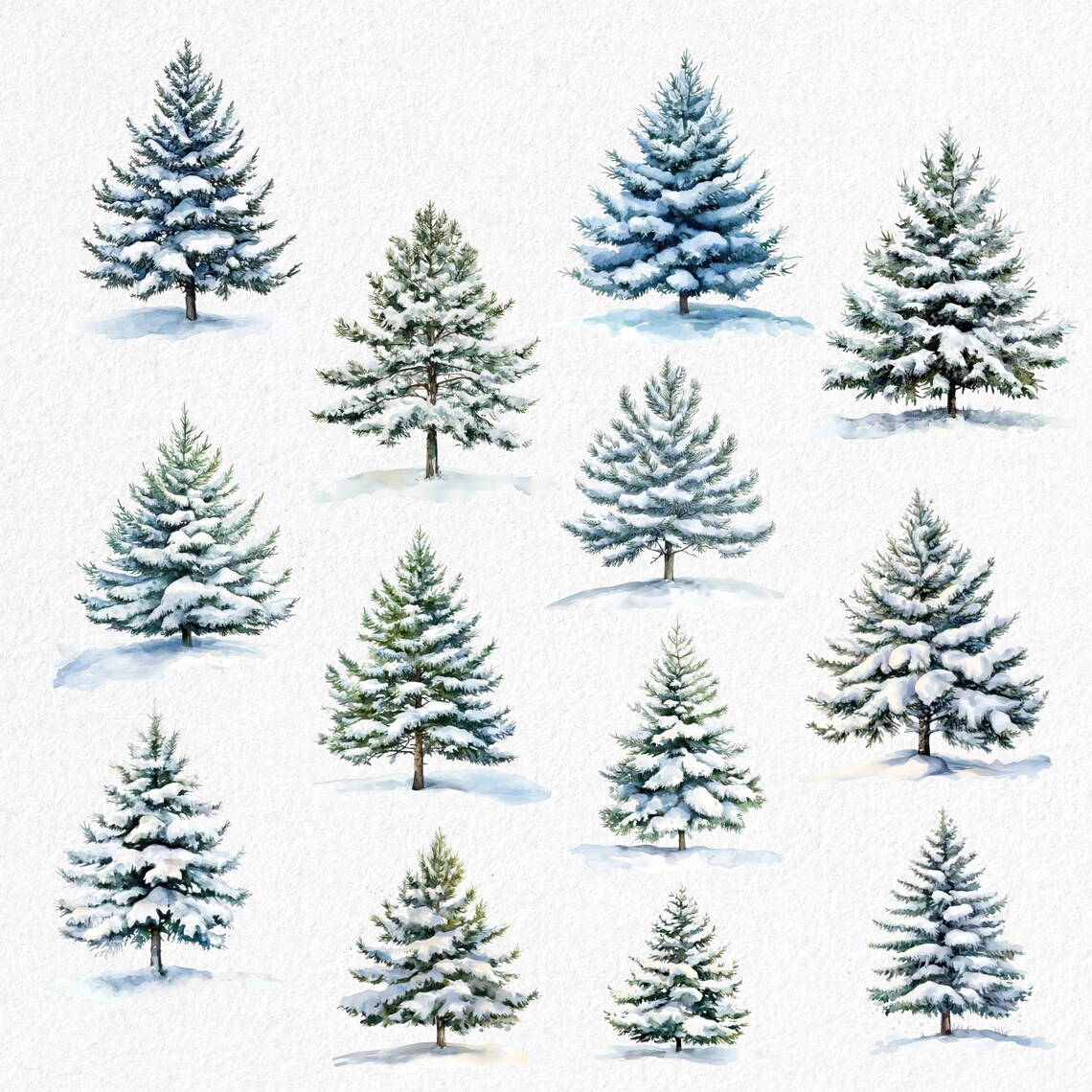 Watercolor Pine Tree Clipart: Winter Forest PNG (digital Download, 13 ...