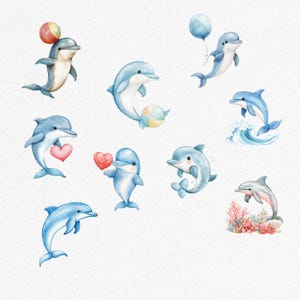 Dolphin Clipart Bundle, Cute Dolphin PNG, Watercolor Sea Animal Png ...