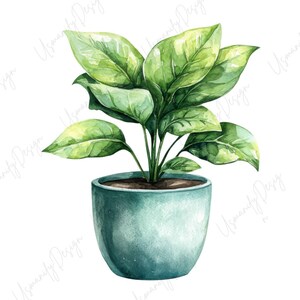 23 Watercolor Houseplant Clipart, Potted Plant PNG, Indoor Greenery ...