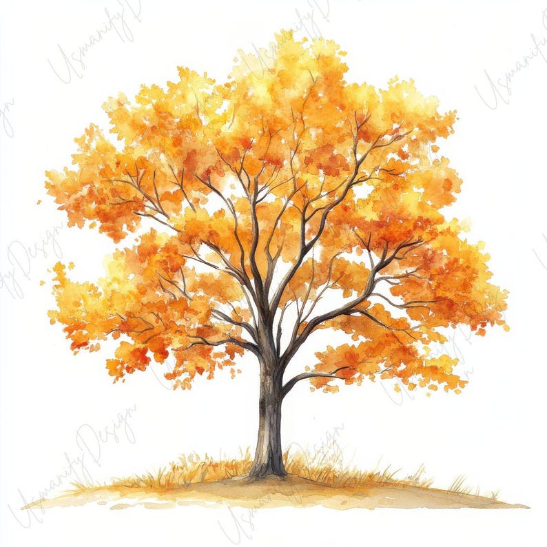 11 Watercolor Autumn Tree Clipart, Fall Tree JPG Art, Seasonal Nature ...