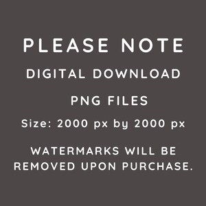 Dolphin Clipart Bundle, Cute Dolphin PNG, Watercolor Sea Animal Png ...