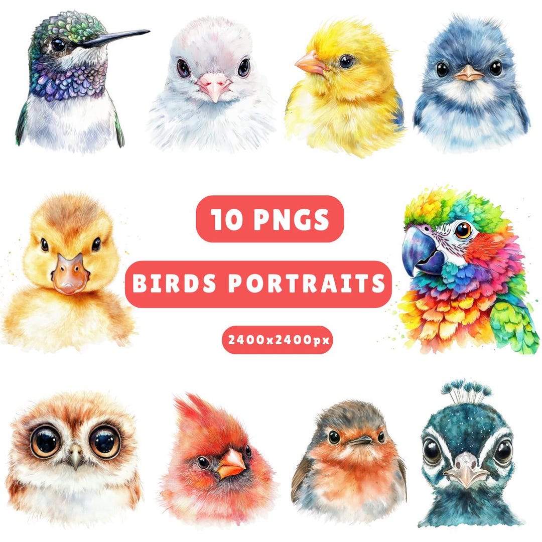 10 Transparent Watercolor Baby Bird Portraits Clipart | Cute & Boho ...