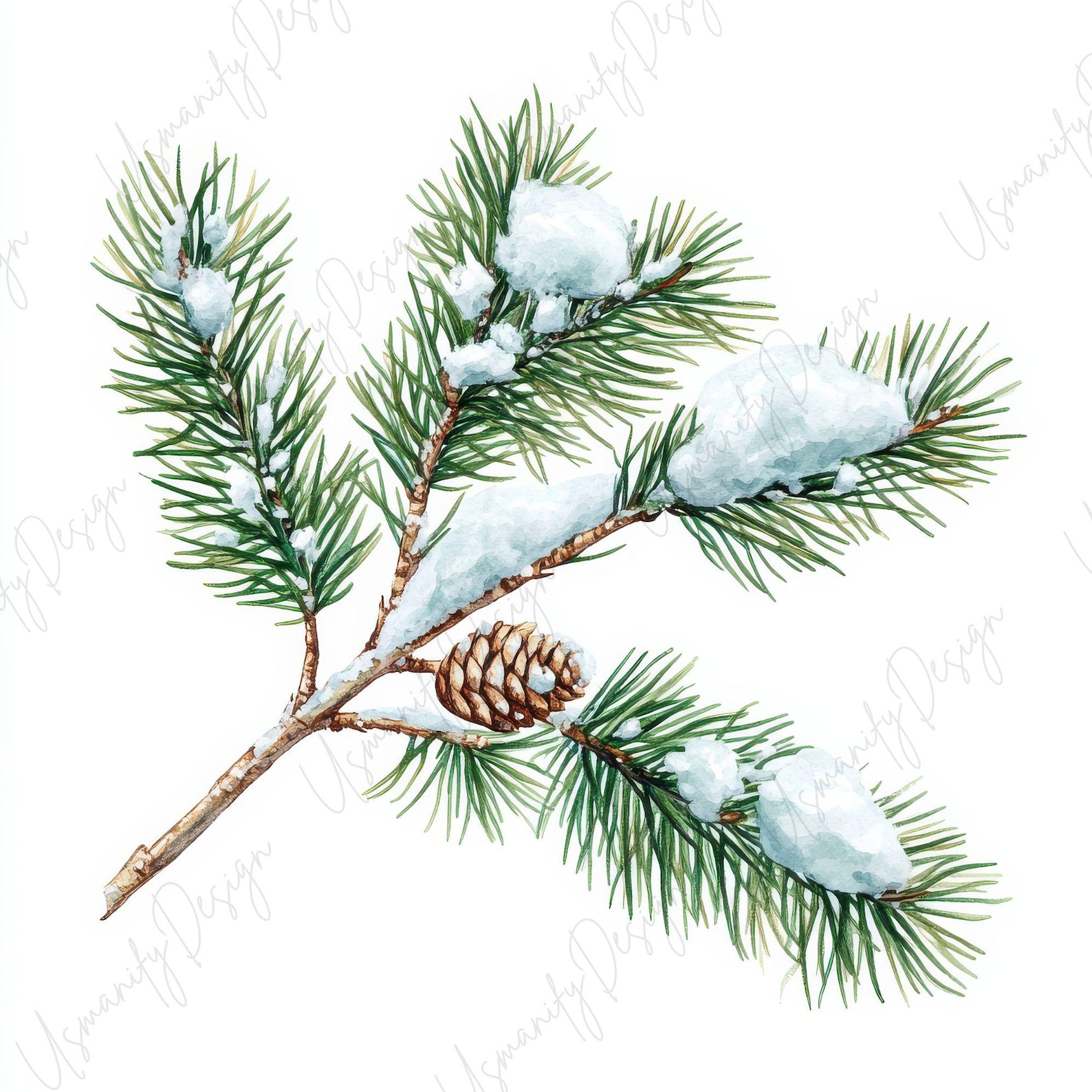 29 Snowy Pine Branch Clipart, Winter Greenery Watercolor, Botanical Art ...