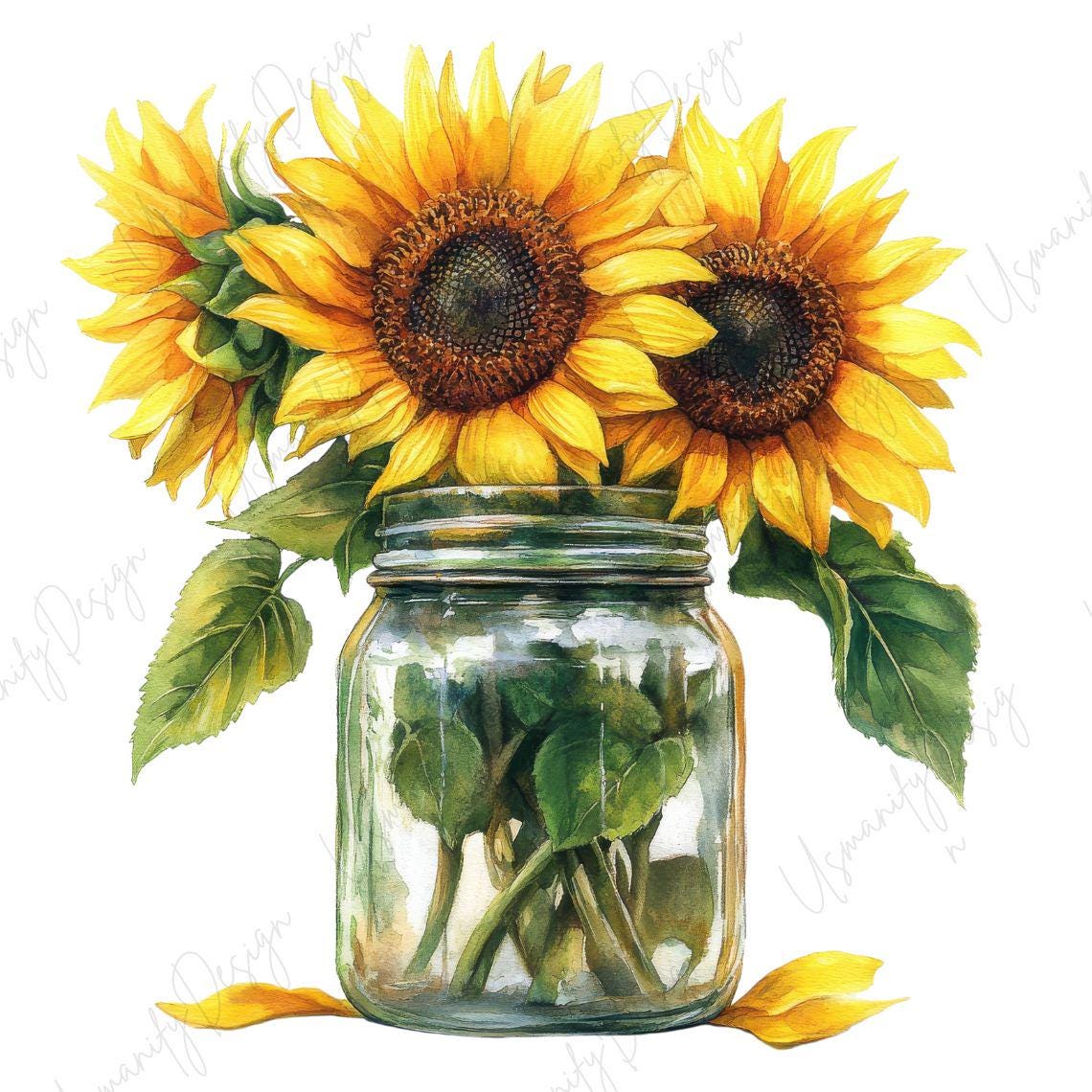 21 Watercolor Sunflower Mason Jar Clipart PNG, Yellow Floral Bouquet ...