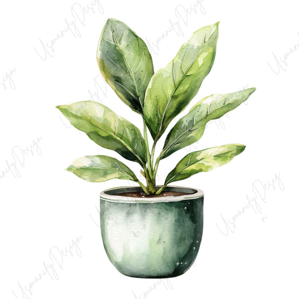 23 Watercolor Houseplant Clipart, Potted Plant PNG, Indoor Greenery ...
