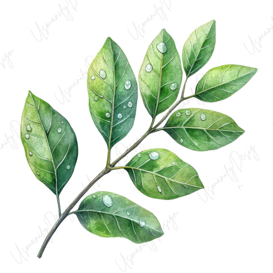 18 Watercolor Green Leaves Clipart PNG Set, Botanical Leaf, Greenery ...