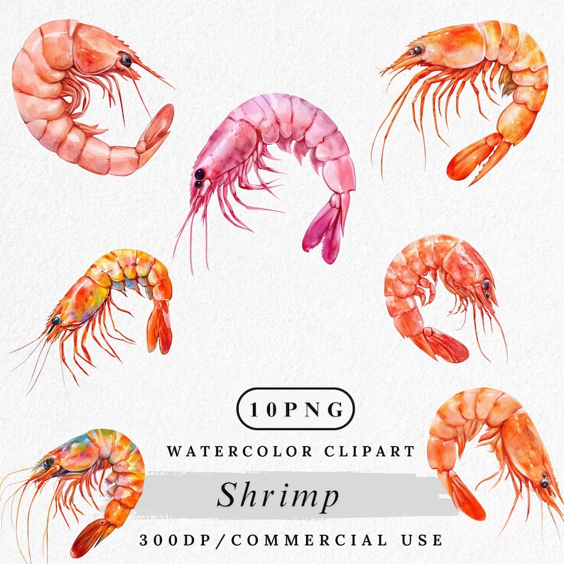 Watercolor Shrimp Clipart: Seafood Illustration, Coastal Decor (digital ...
