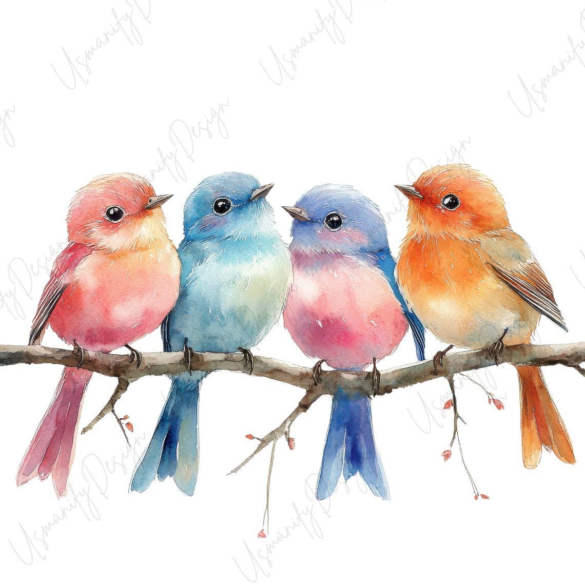 17 Watercolor Birds Clipart PNG, Pastel Birds Branch, Cute Nursery Bird ...