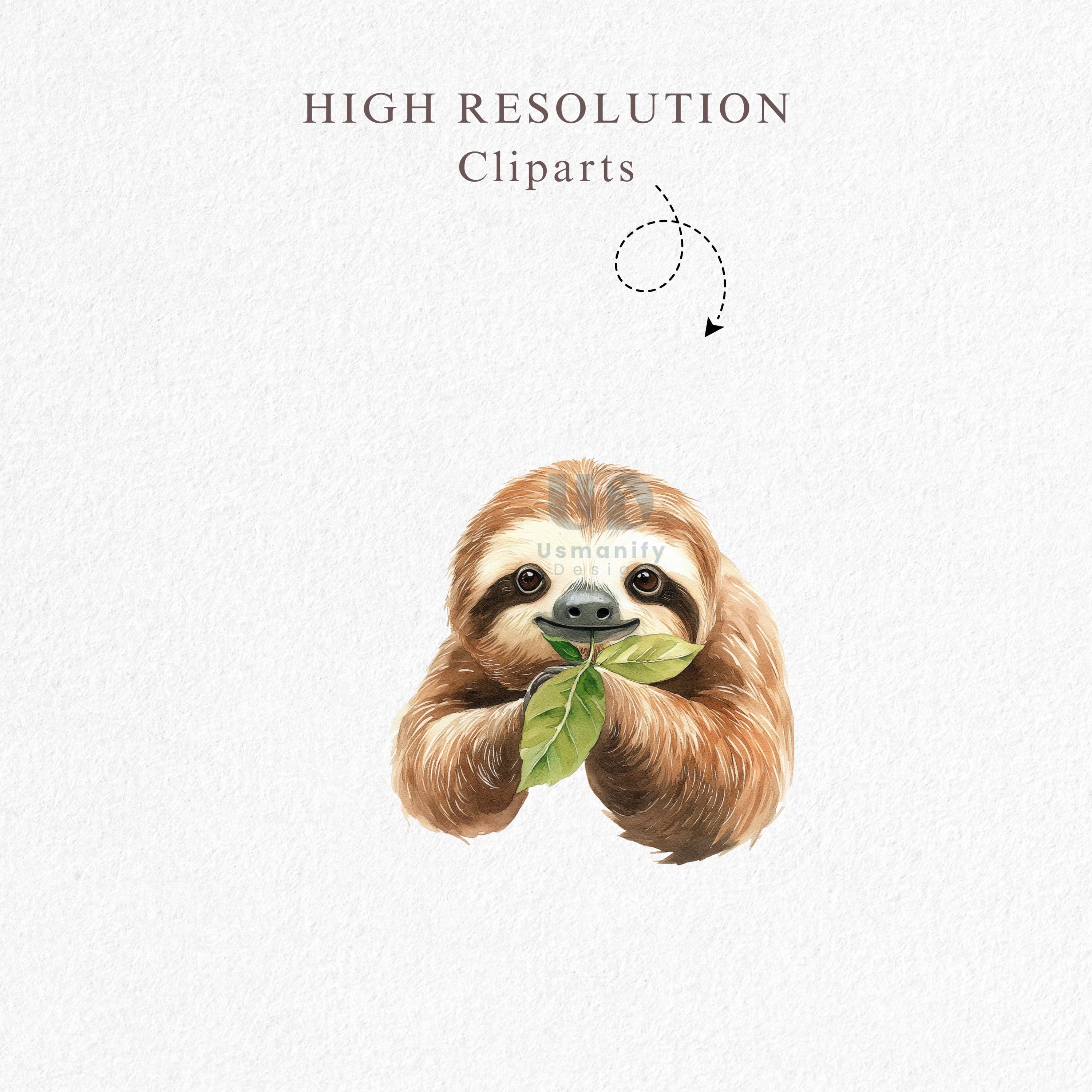 Watercolor Sloth Clipart: Jungle Animal PNG Images (digital Download ...