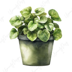 23 Watercolor Houseplant Clipart, Potted Plant PNG, Indoor Greenery ...