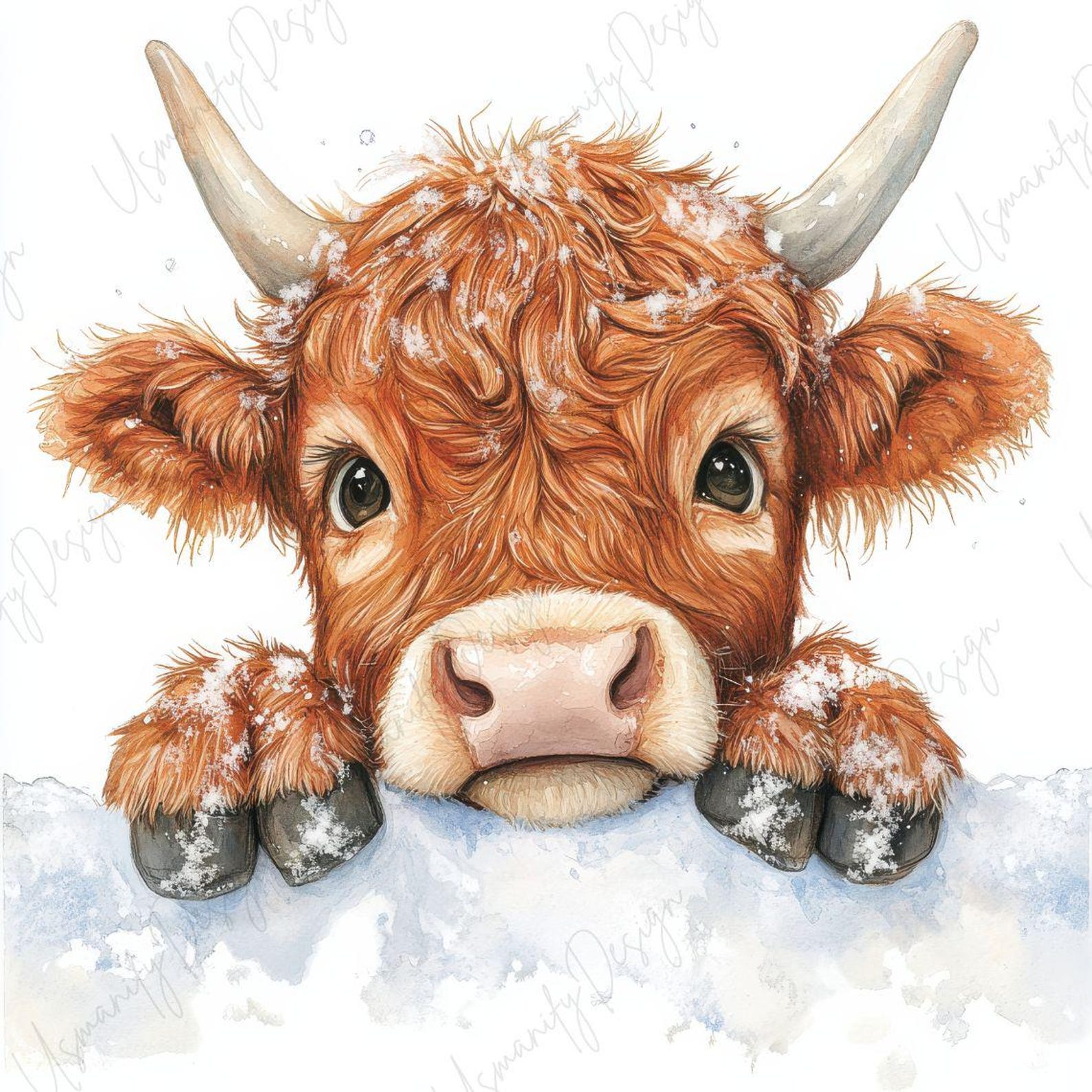14 Highland Cow in Snow Clipart, Watercolor Winter Bull, Junk Journal ...
