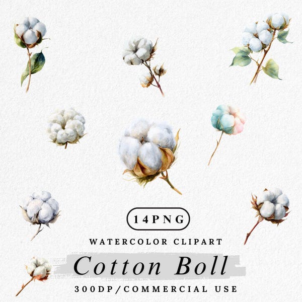 Cotton Boll Art - Etsy