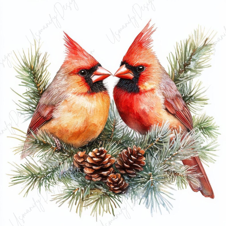 19 Cardinal Clipart, Watercolor Red Birds With Winter Greenery, Holiday ...