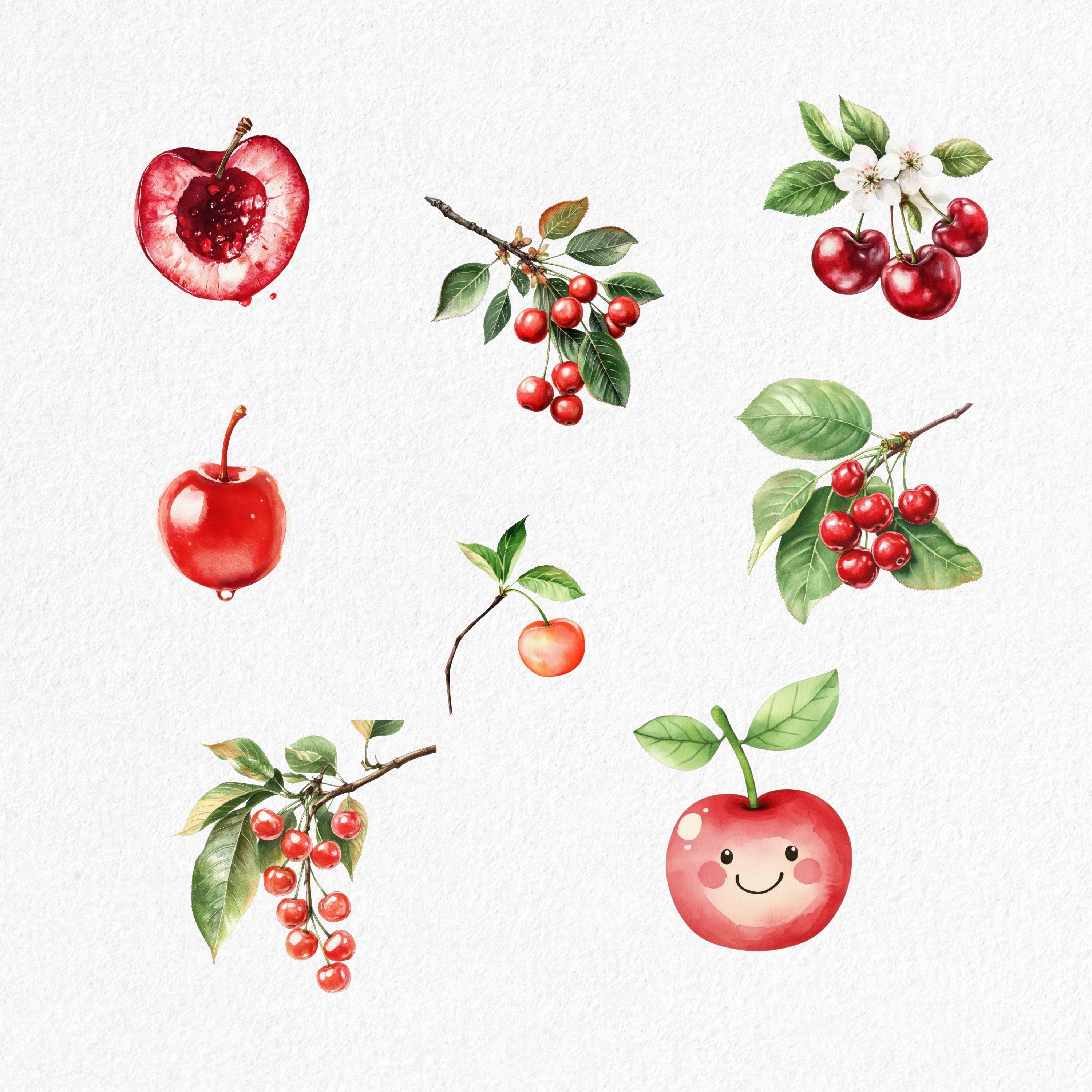 Watercolor Cherry Clipart: Summer Fruit PNG Images (digital Download ...