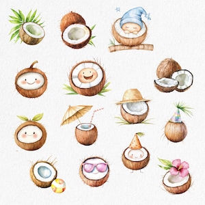 Coconut Clipart Bundle, Cute Coconut Character PNG, Tropical Fruit Art ...