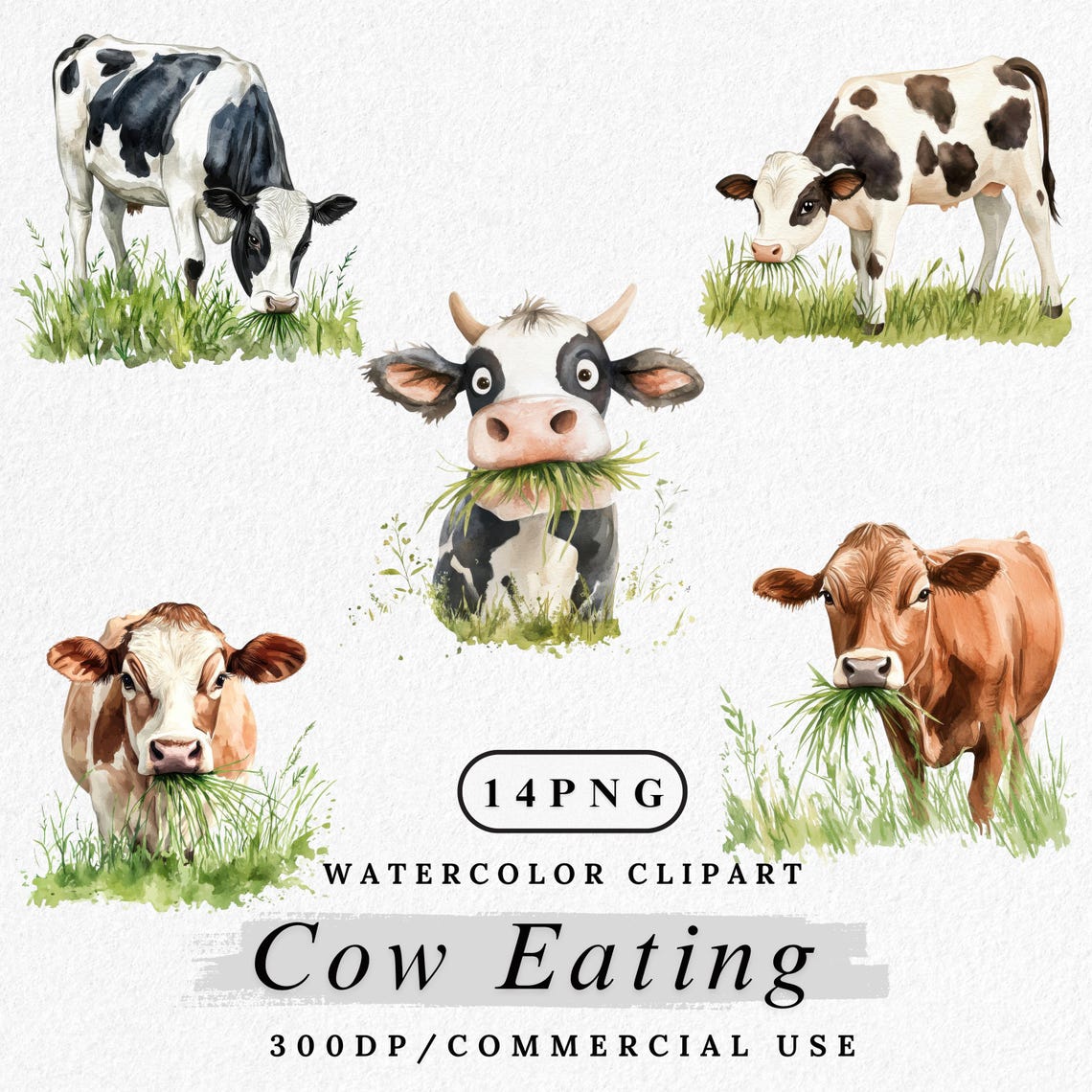 Watercolor Cow Clipart: Farm Animal PNG Images (digital Download, 14 ...