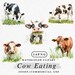 Watercolor Cow Clipart: Farm Animal PNG Images (digital Download, 14 ...