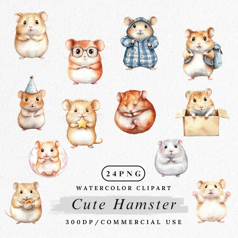 Hamster Clipart - Etsy UK