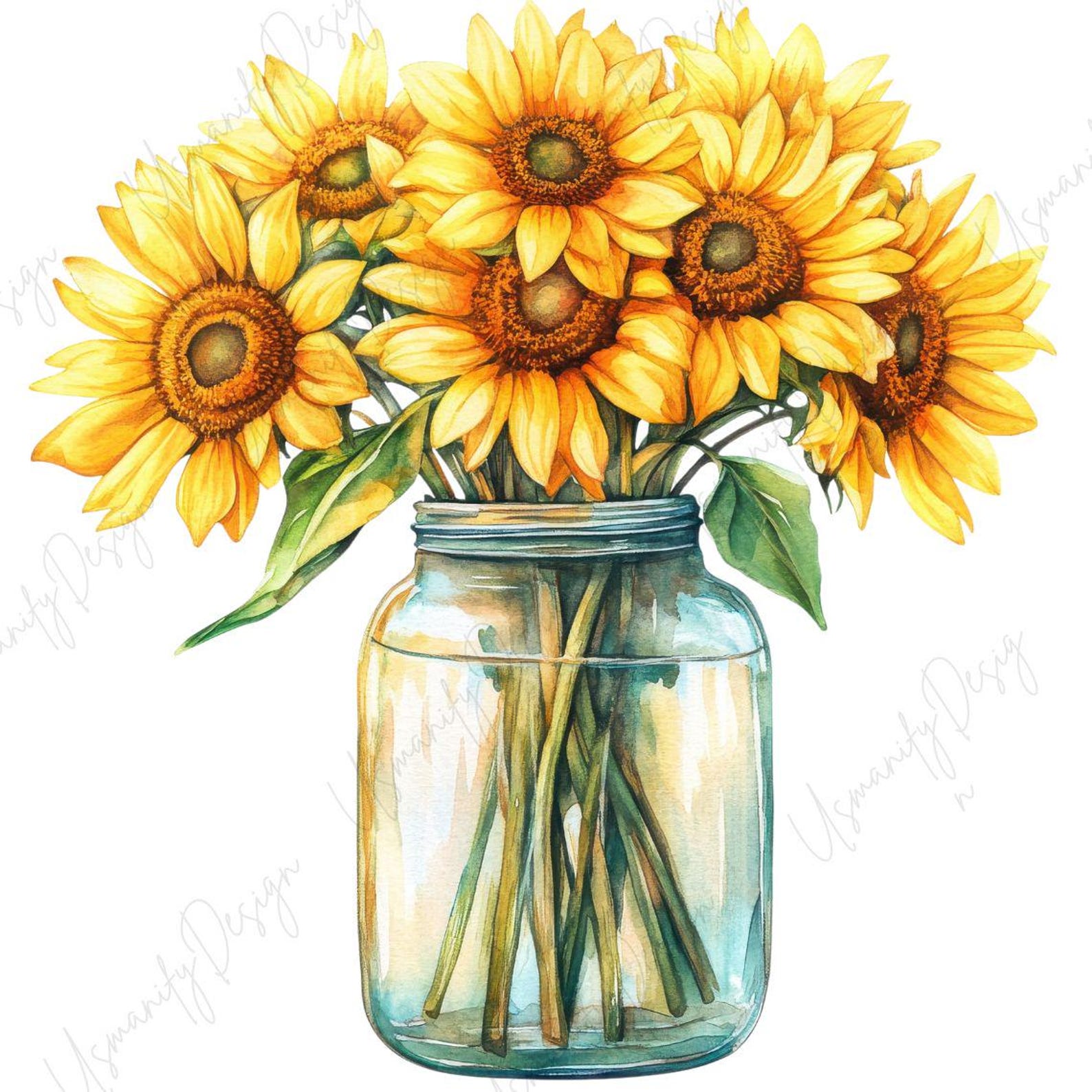 21 Watercolor Sunflower Mason Jar Clipart PNG, Yellow Floral Bouquet ...