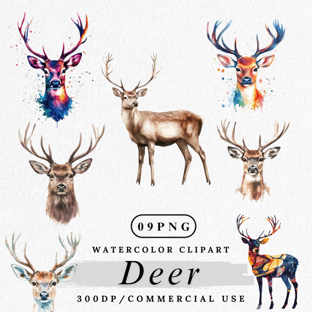 Deer Clipart, Watercolor Woodland Animal PNG, Forest Deer Art, Deer ...