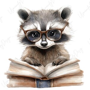 19 Watercolor Reading Raccoon Art, Book Lover Raccoon Clipart Set, Cozy ...