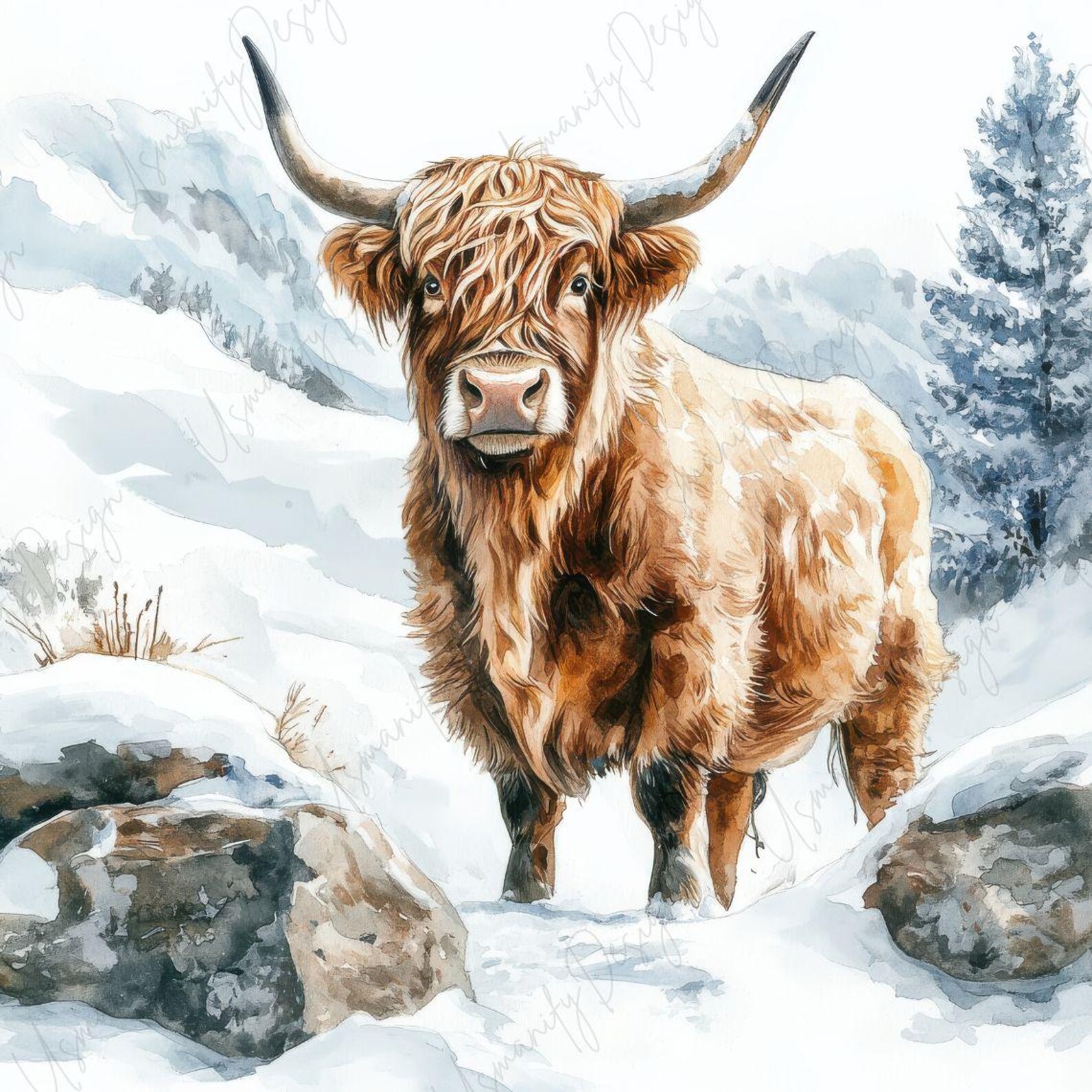 14 Highland Cow in Snow Clipart, Watercolor Winter Bull, Junk Journal ...