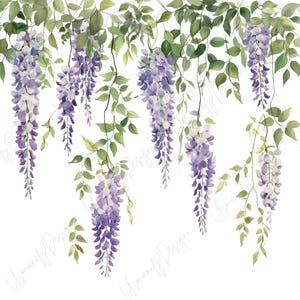 22 Watercolor Wisteria Clipart, Purple Floral PNG Bundle, Hanging ...