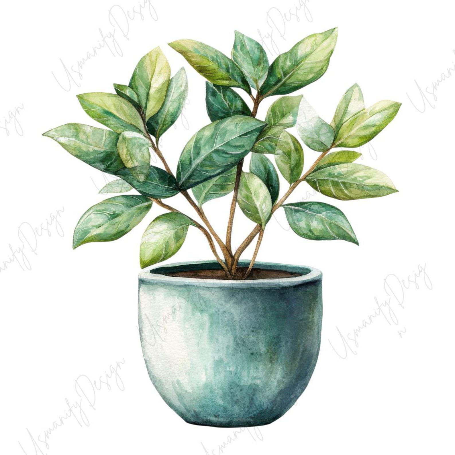 23 Watercolor Houseplant Clipart, Potted Plant PNG, Indoor Greenery ...