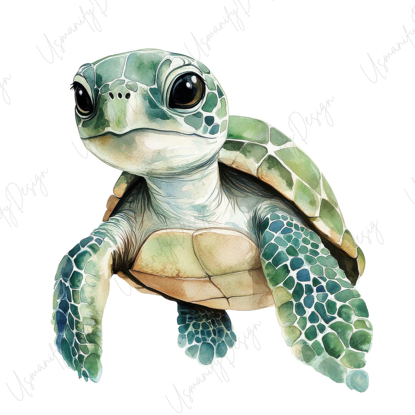 20 Watercolor Turtle Clipart, Cute Baby Turtle PNG Bundle, Sea and Land ...