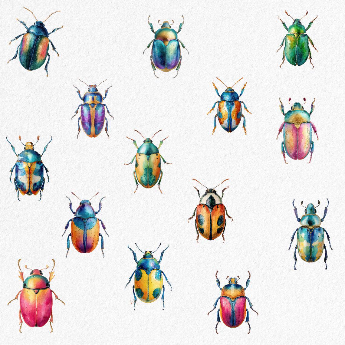 Watercolor Beetle Clipart Set: Colorful Insect PNG Images (digital ...