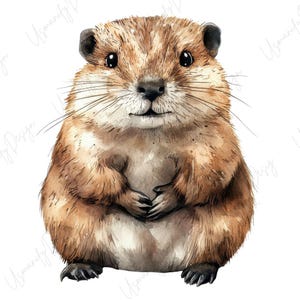 17 Watercolor Groundhog Clipart PNG Set, Cute Woodland Animal ...