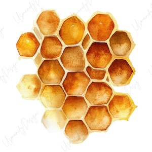 13 Watercolor Bee Clipart, Honeycomb PNG Bundle, Honey Bee Illustration ...