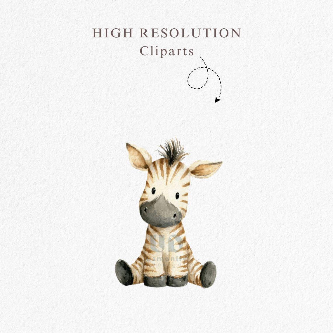 Watercolor Zebra Clipart: Safari Animal PNG (digital Download, 9 Files ...