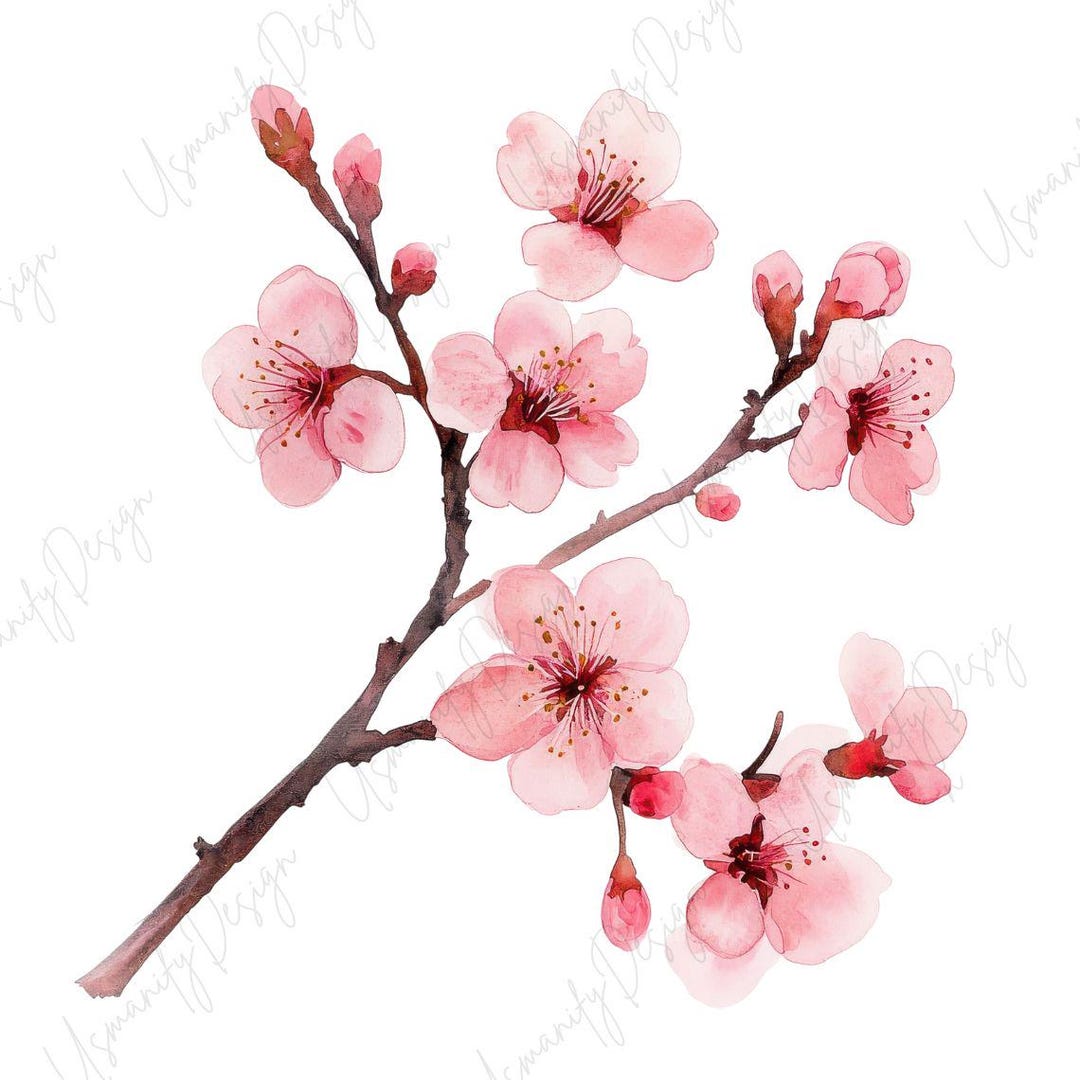 23 Watercolor Cherry Blossom Clipart, Sakura Branch PNG, Pink Flower ...